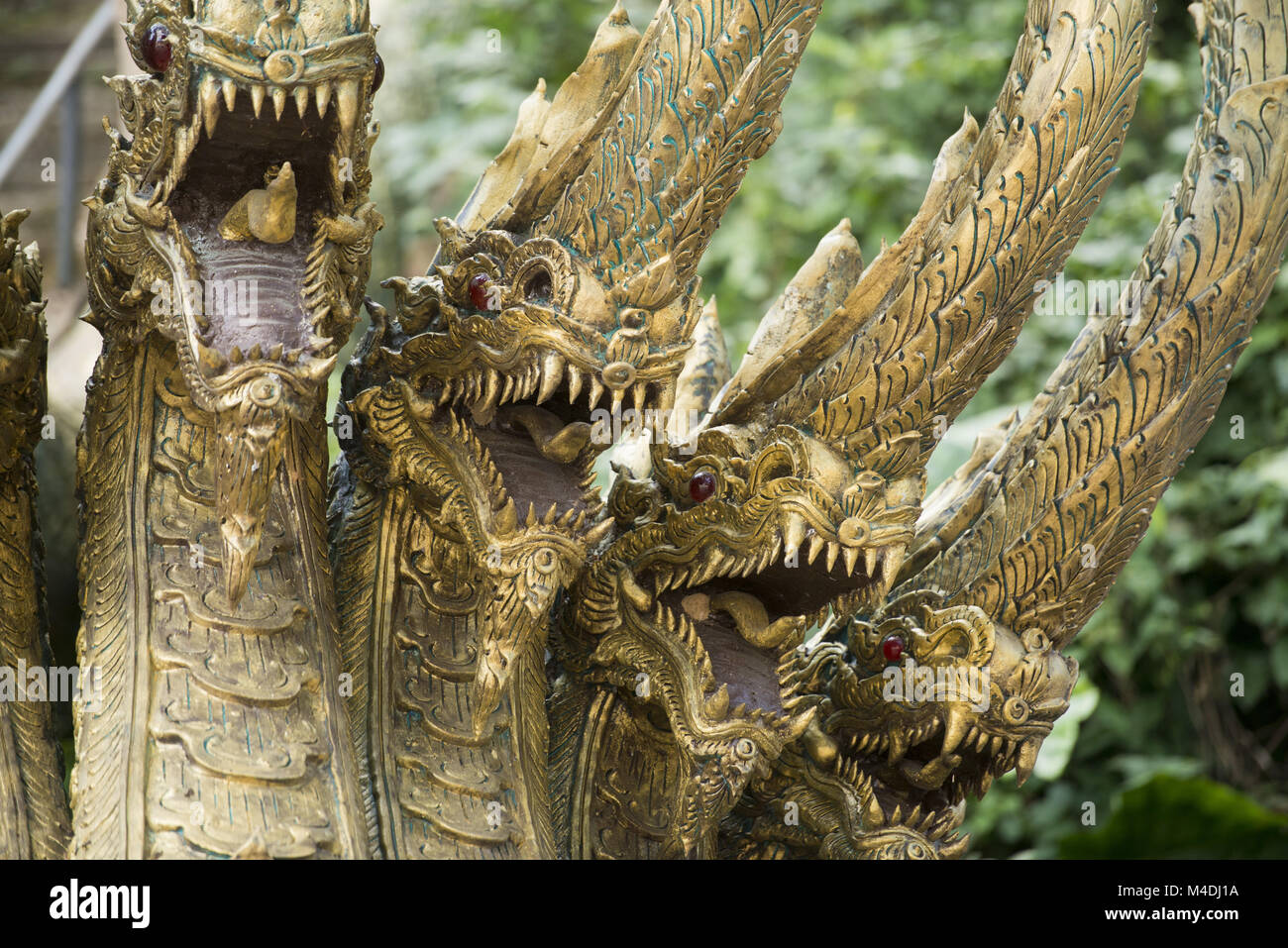 THAILAND CHIANG RAI MAE SAI MONKEY CAVE TEMPLE Stock Photo - Alamy