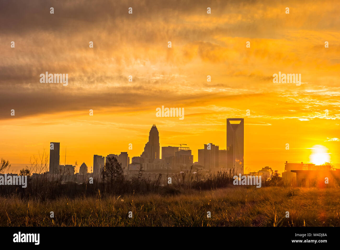 Charlotte north carolina early morning sunrise in spring Stock Photo ...