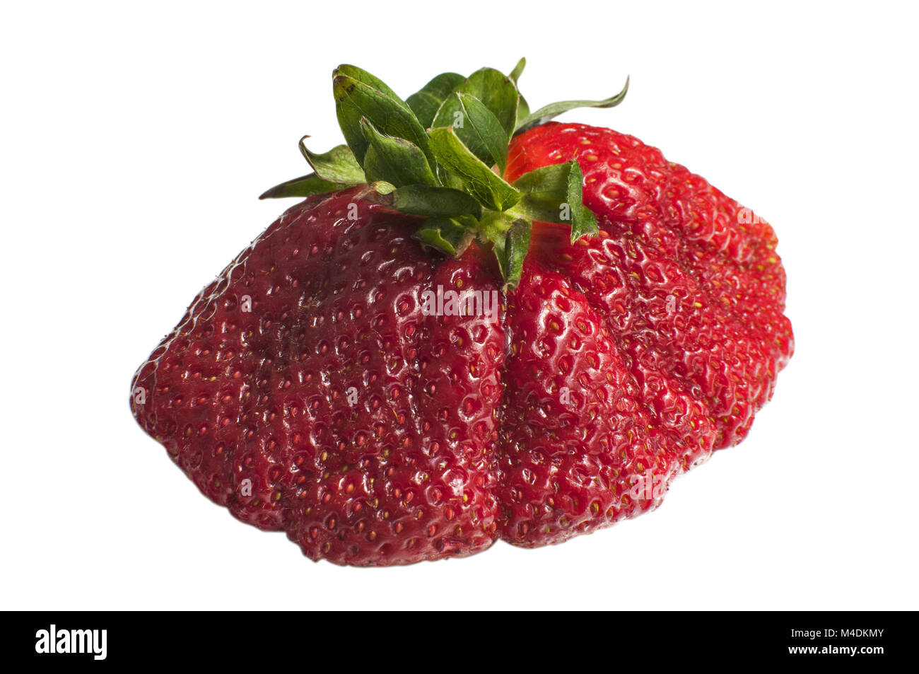 Huge red strawberry Stock Photo - Alamy