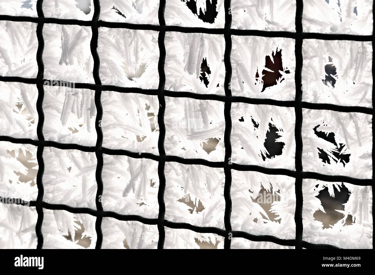 Frozen on the grid Stock Photo - Alamy