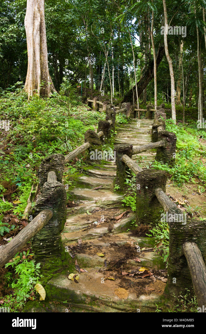 Natural man made wood and soil steps in jungle - old steps walkway at ...