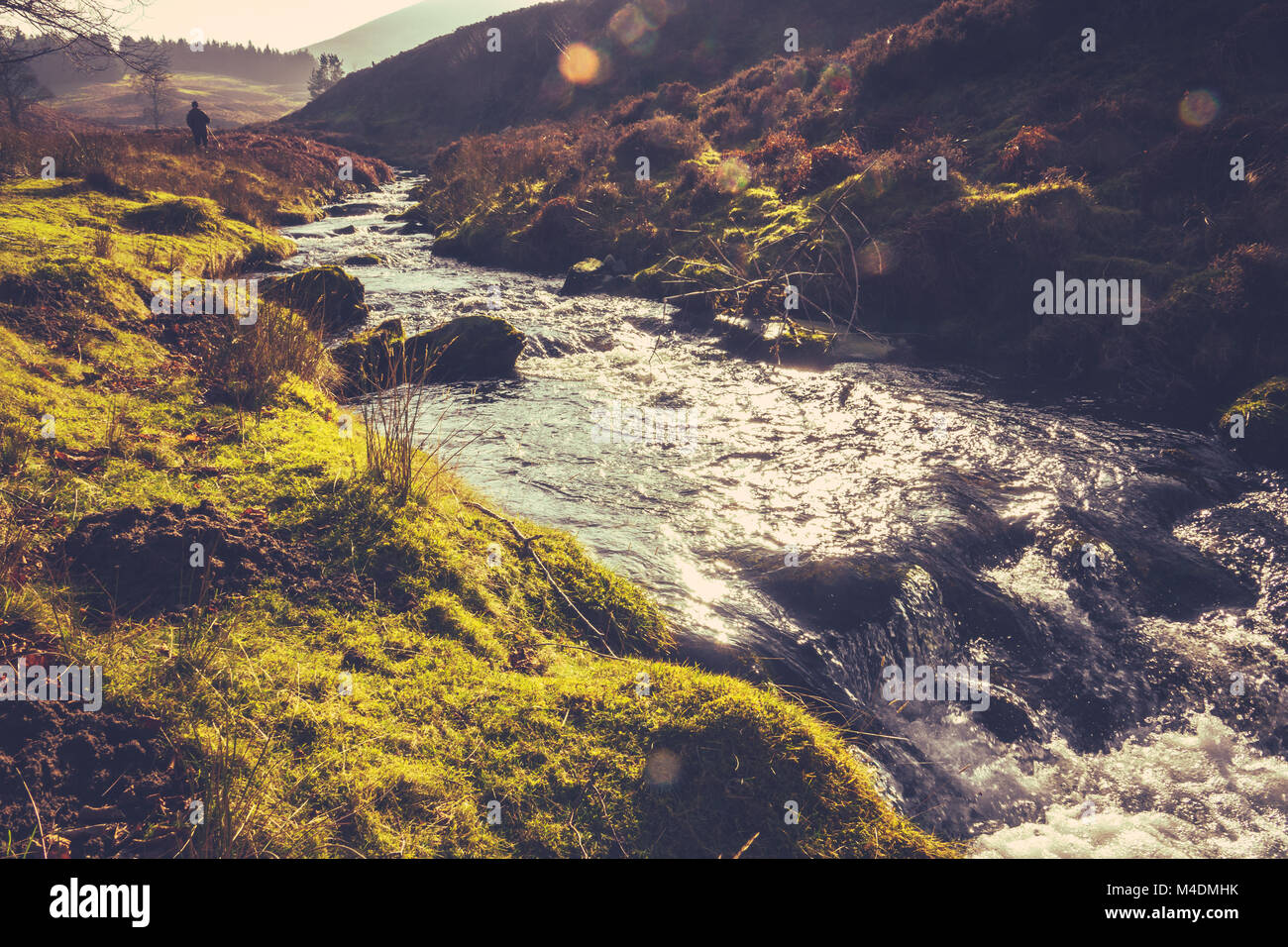 Scottish WIlderness Landscape Stock Photo - Alamy