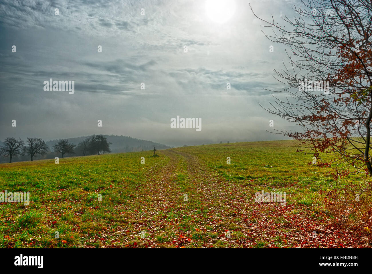 Sun over the landscape hi-res stock photography and images - Alamy
