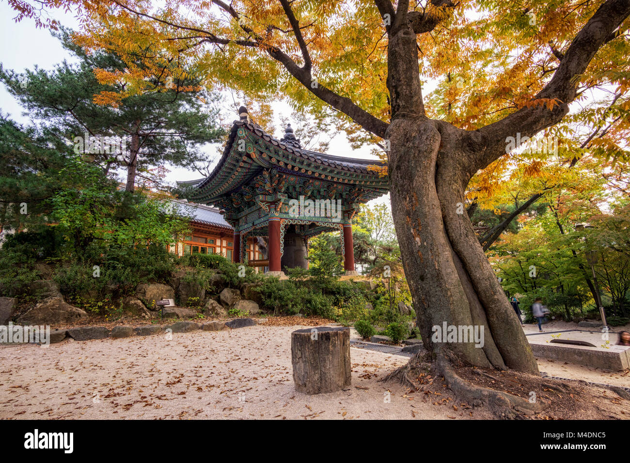 Gilsangsa temple hi-res stock photography and images - Alamy