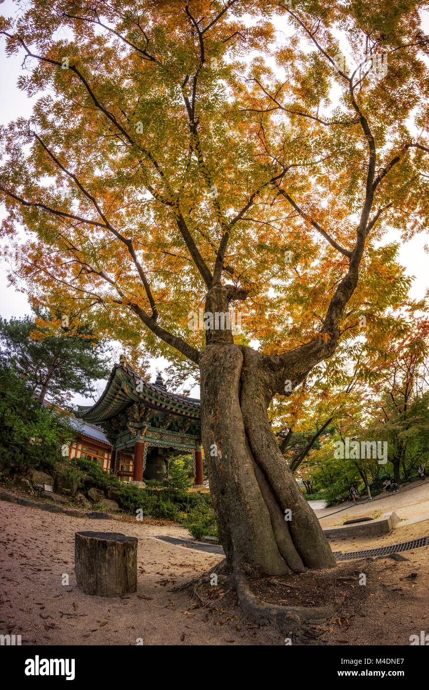 Gilsangsa temple hi-res stock photography and images - Alamy