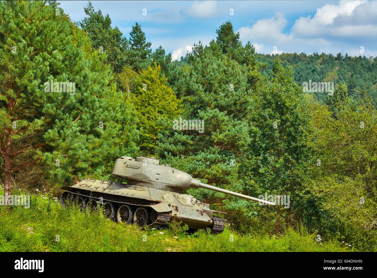 Tank in the Forest Stock Photo - Alamy