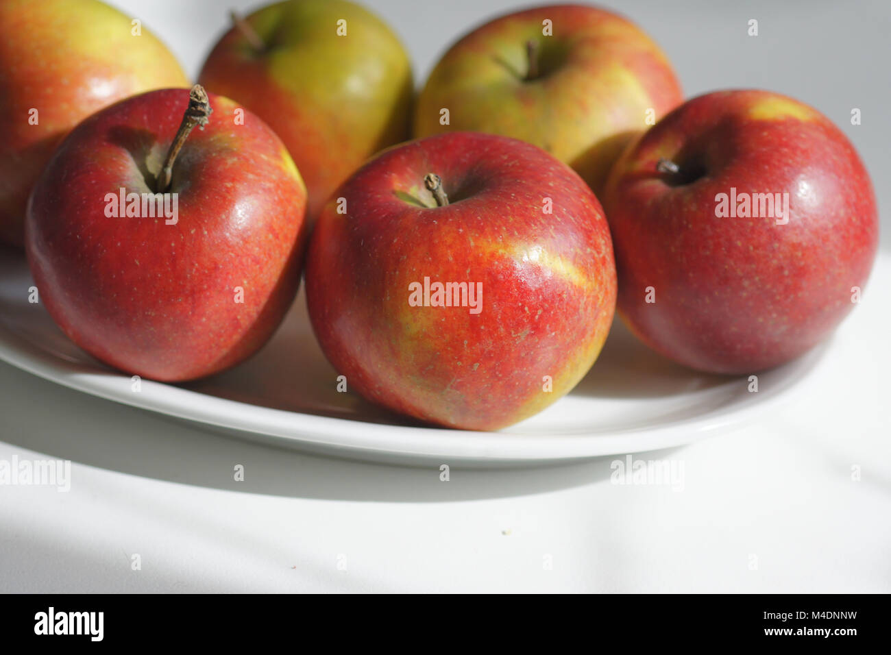 Malus domestica Natyra, Sort of Apples Stock Photo - Alamy