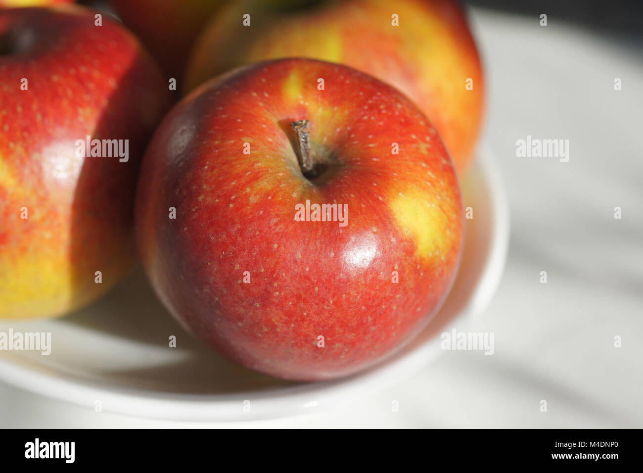 Malus domestica Natyra, Sort of Apples Stock Photo - Alamy