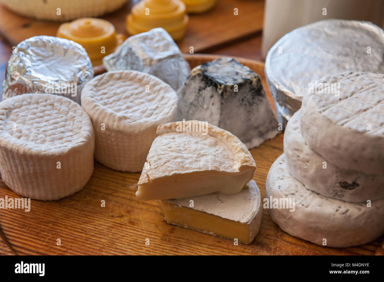 Set of different cheese Stock Photo - Alamy