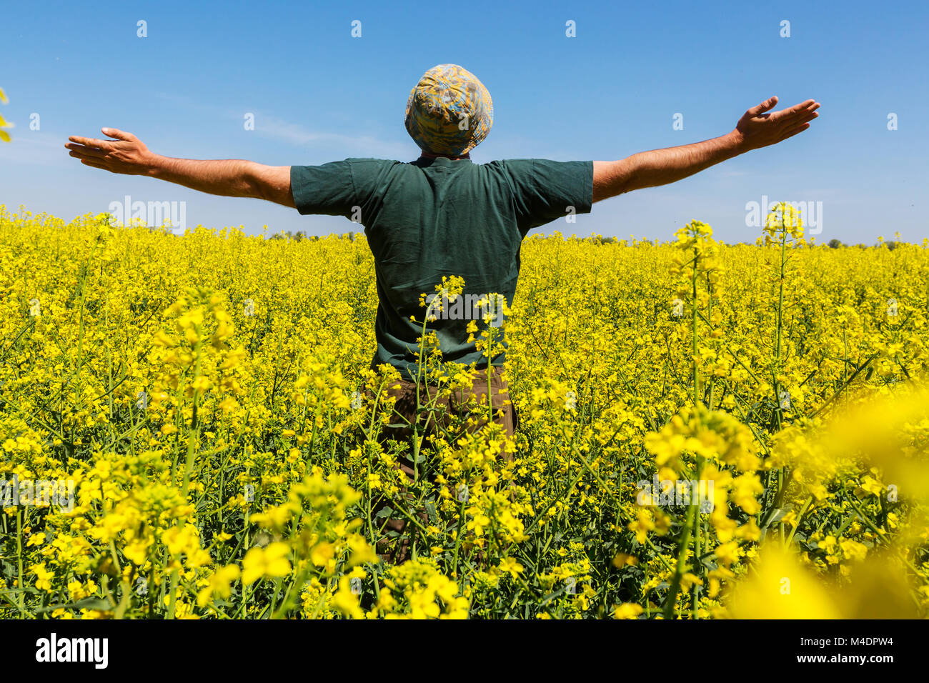Man in the field Stock Photo - Alamy