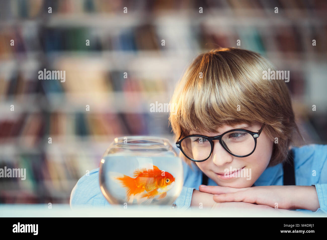 Boy with goldfish Stock Photo - Alamy