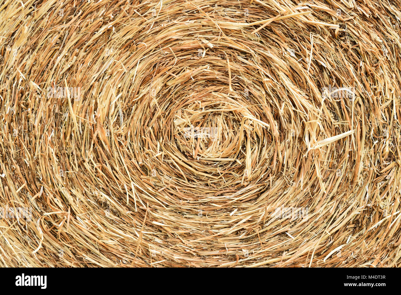 Rolled up grass hi-res stock photography and images - Alamy
