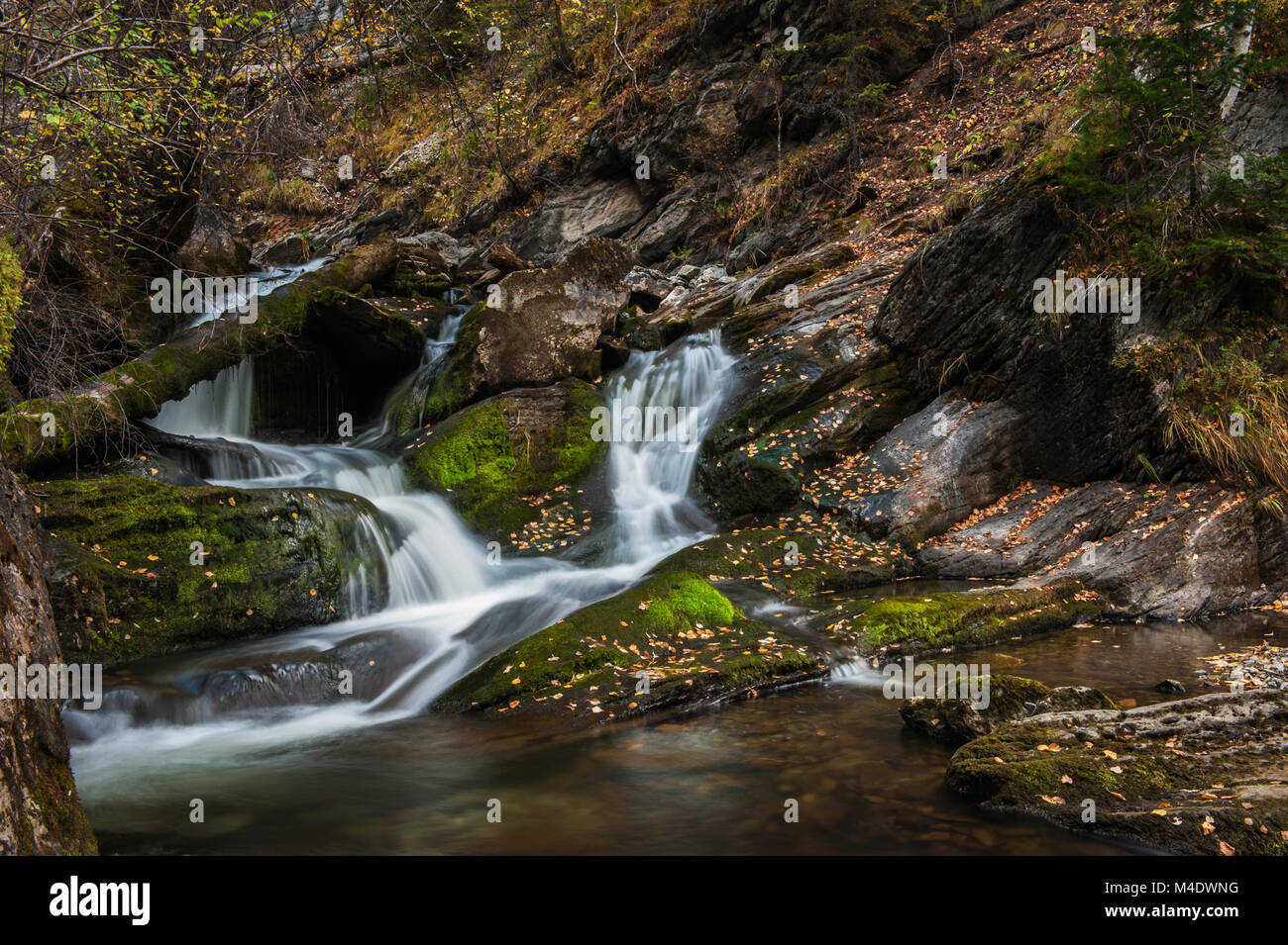 Waterfall on river Shinok Stock Photo - Alamy