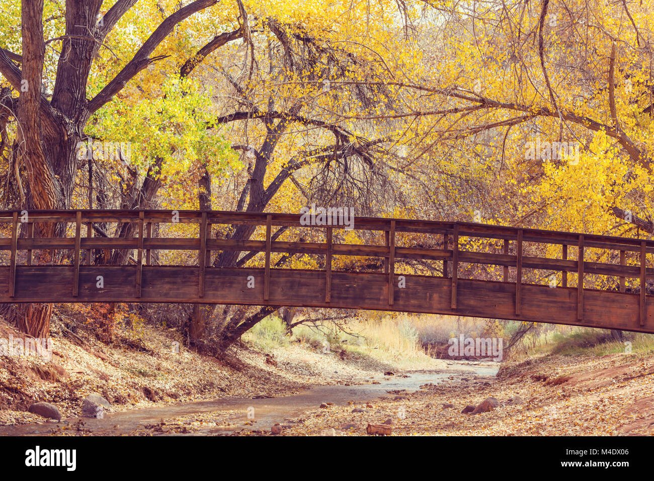 Bridge in autumn forest Stock Photo - Alamy