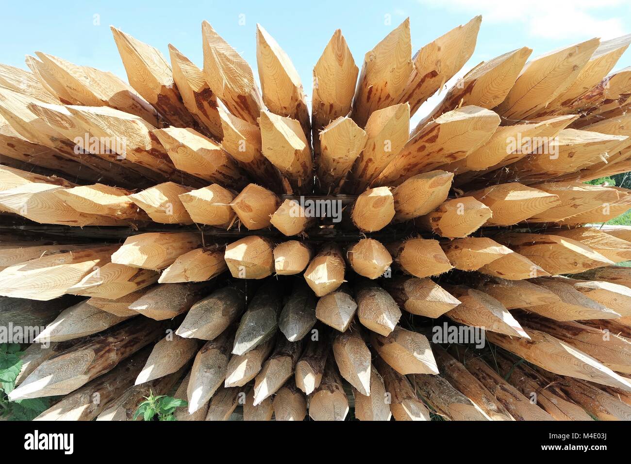 Wooden piles hi-res stock photography and images - Alamy