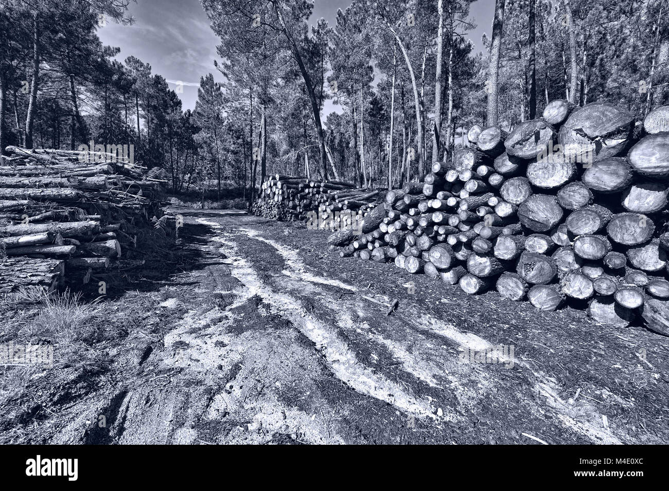 Vintage logging industry hi-res stock photography and images - Alamy