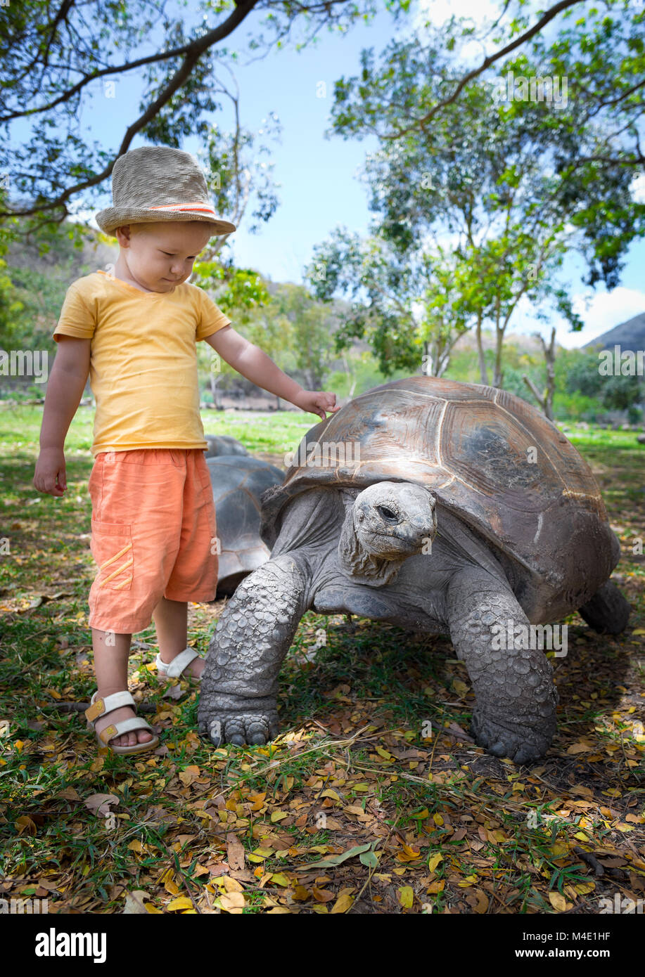 Aldabra giant tortoise and child Stock Photo - Alamy