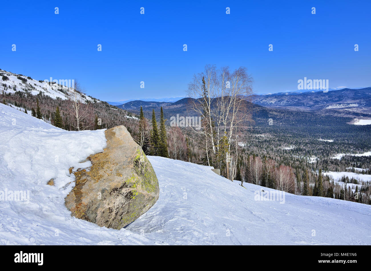 Siberia landscape trees hi-res stock photography and images - Alamy