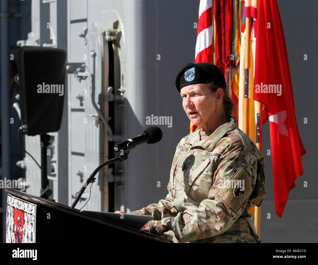Maj. Gen. Susan A. Davidson, commanding general of the 8th Theater ...