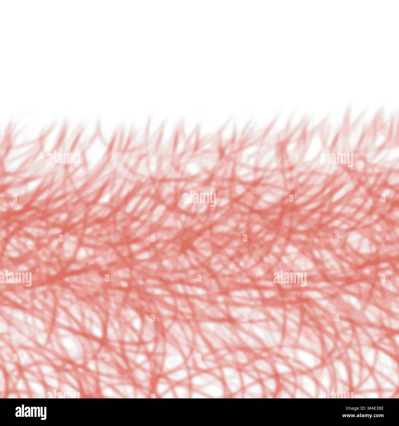 Frayed Stock Vector Images - Alamy