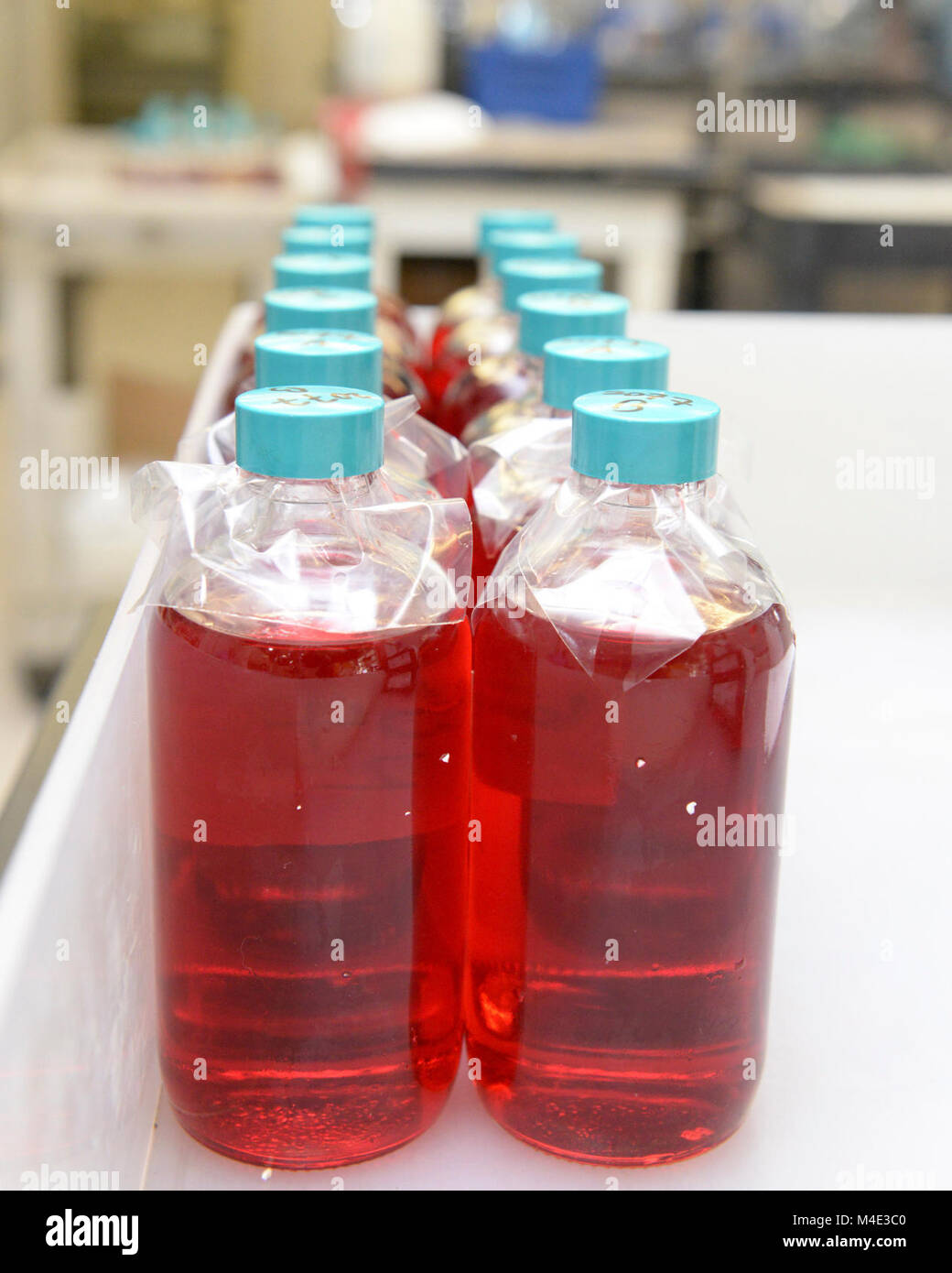 Samples of hydraulic fluid from F-16 Fighting Falcon are verified for ...