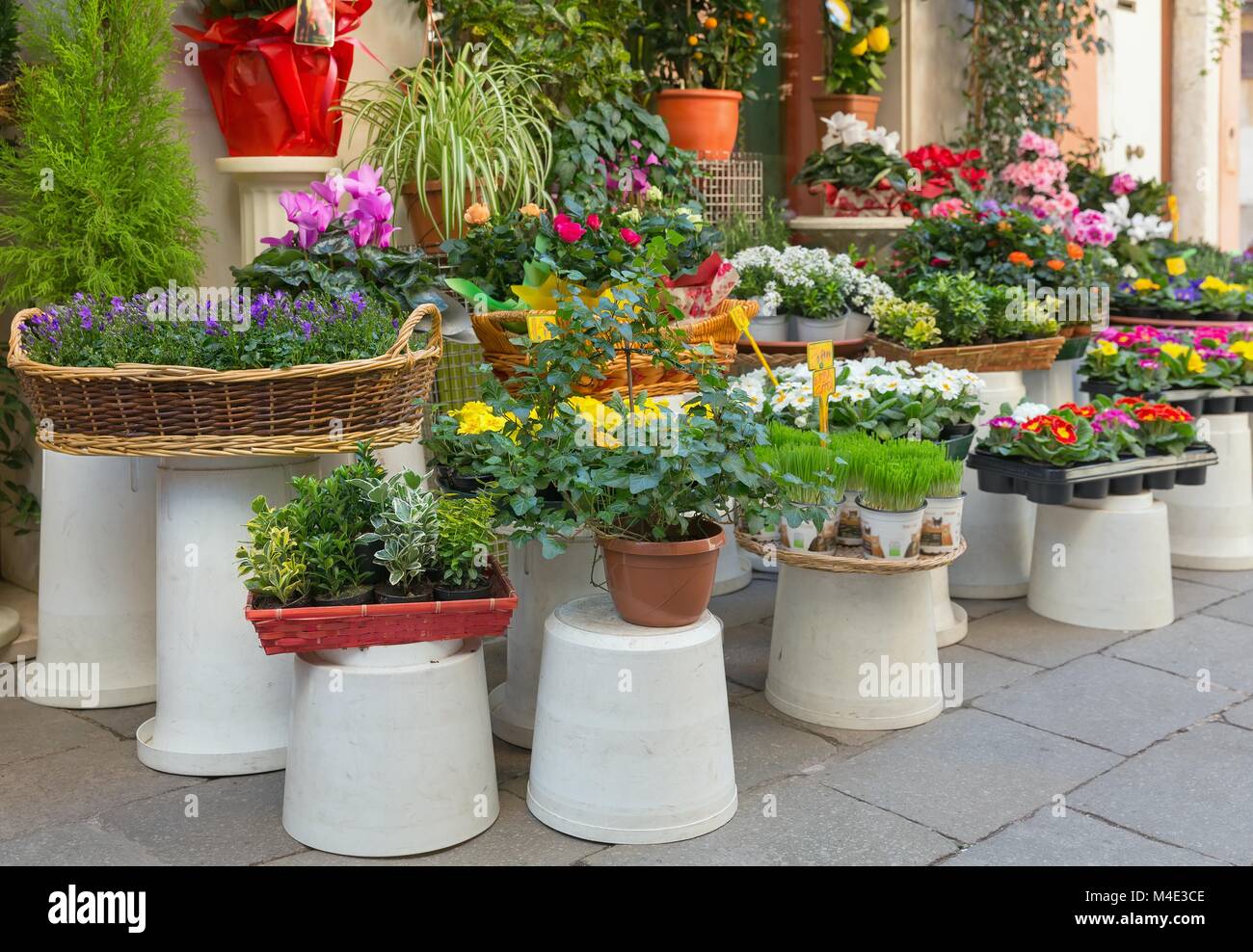 Florist shop sidewalk hi-res stock photography and images - Alamy