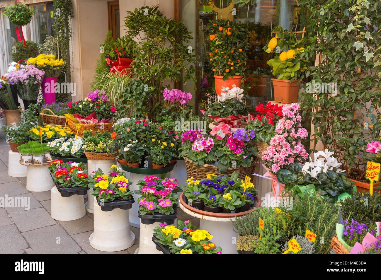 Florist shop sidewalk hi-res stock photography and images - Alamy