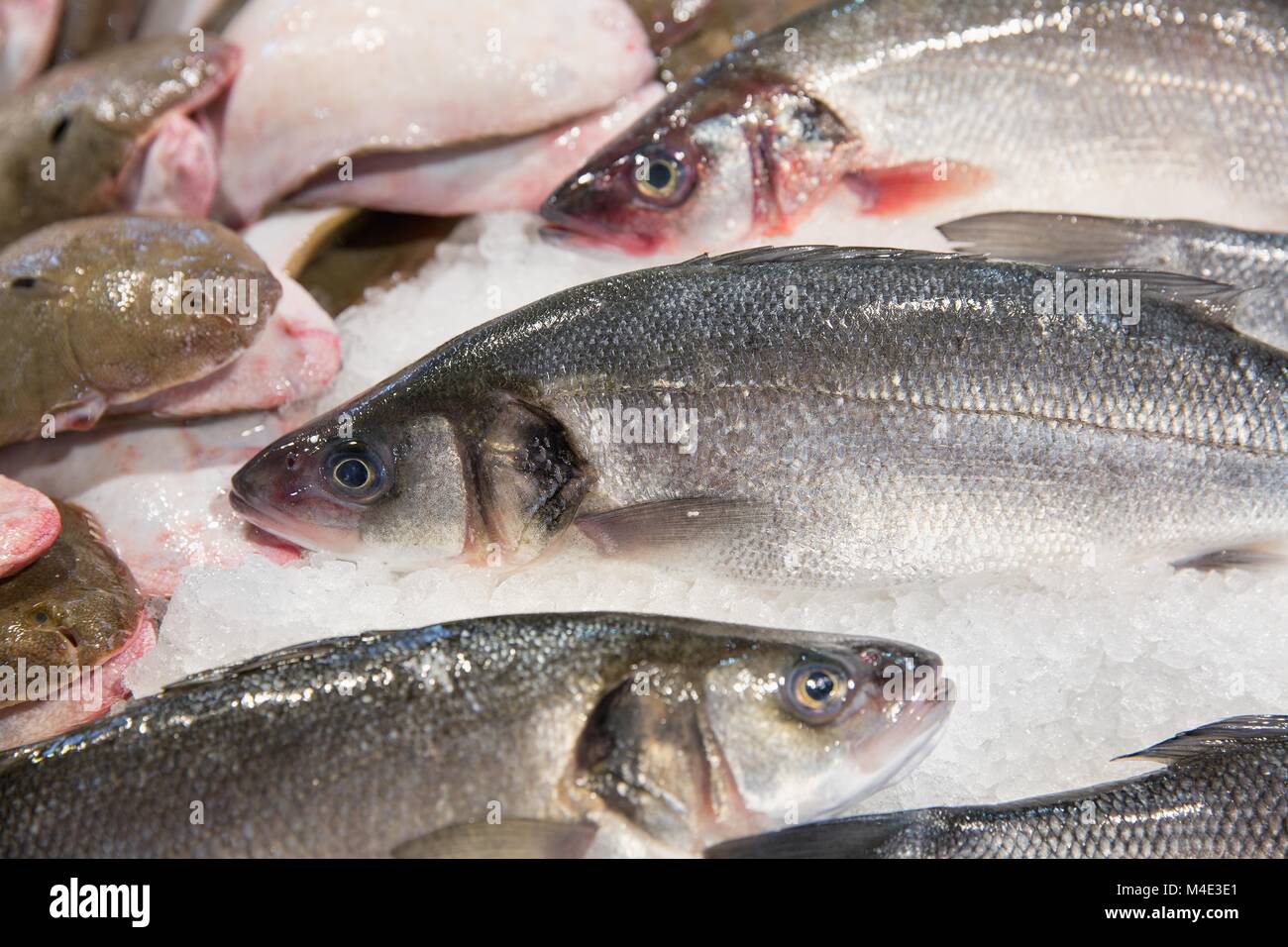 Close up of fish on display in a fish market Stock Photo - Alamy