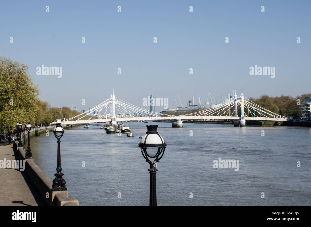 River Thames from Chelsea with Albert Bridge in background Stock Photo ...