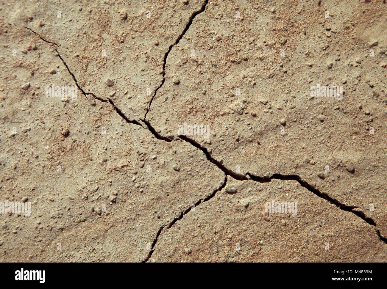 Cracked earth close-up Stock Photo - Alamy