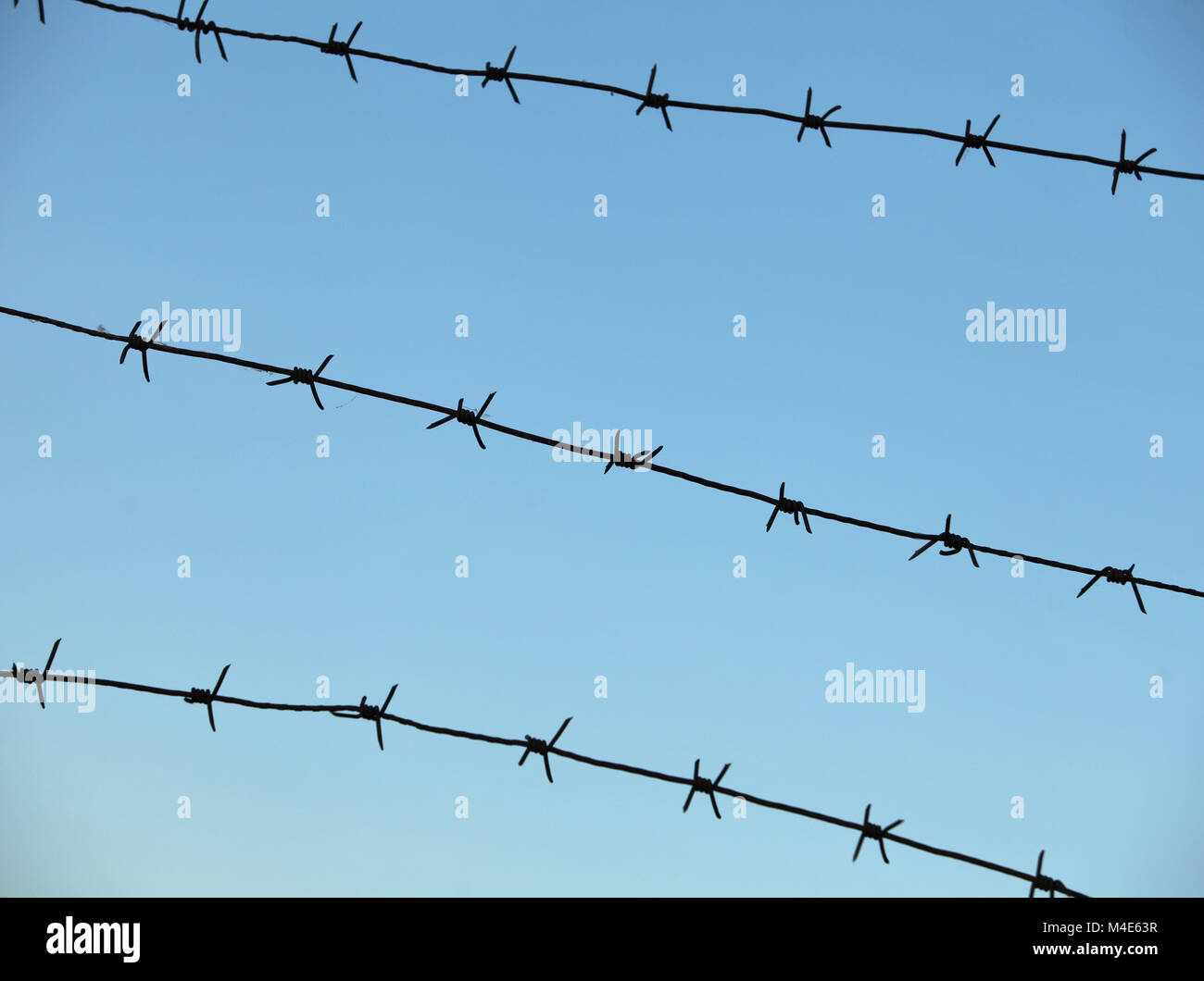 sharp barbed wire fence Stock Photo - Alamy