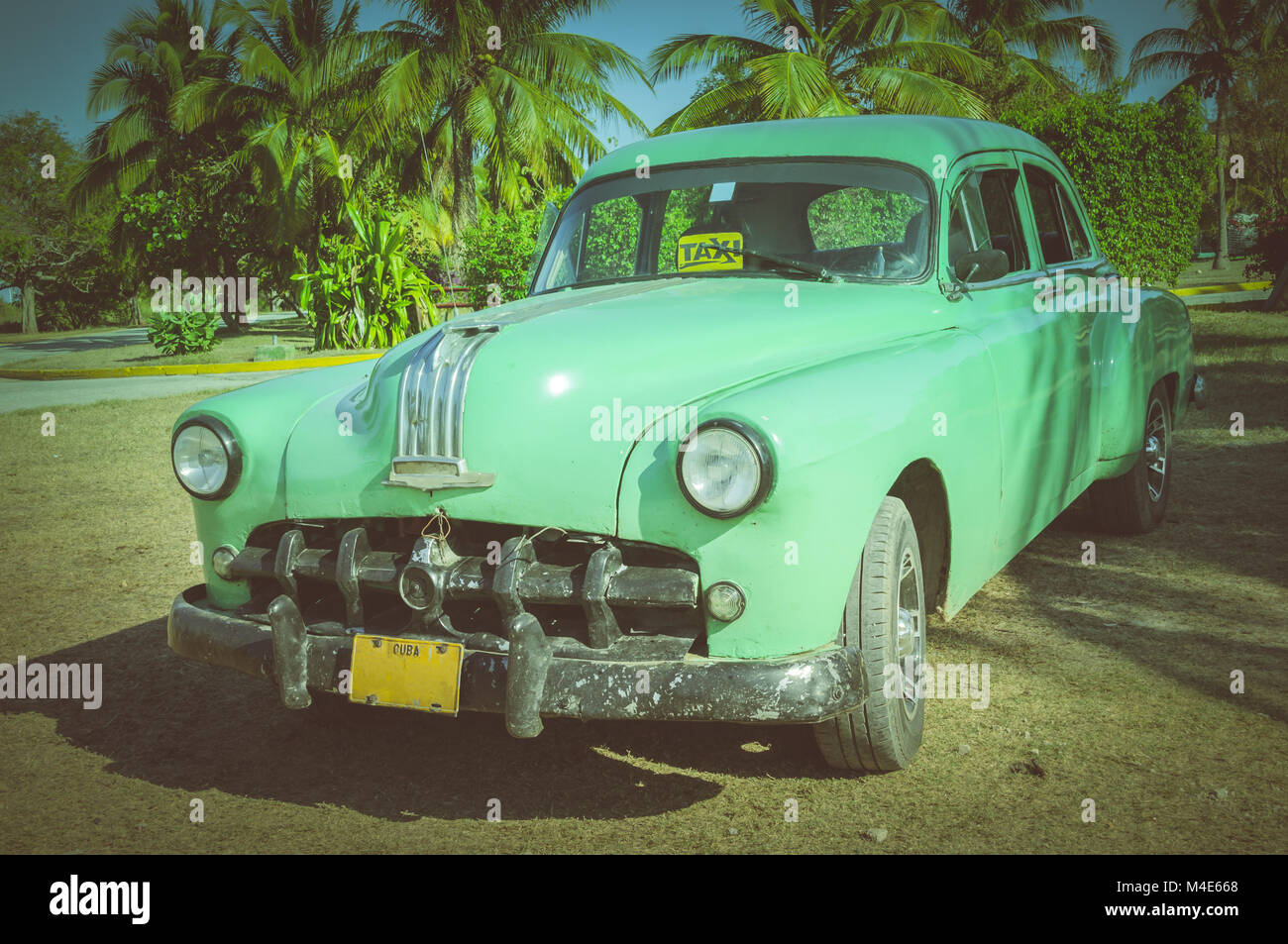 Old car under palm trees Stock Photo - Alamy