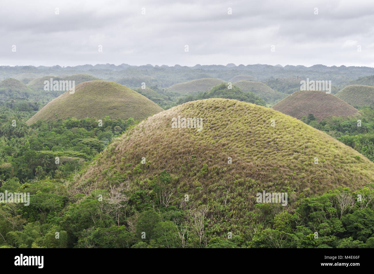 The Chocolate Hills Stock Photo - Alamy