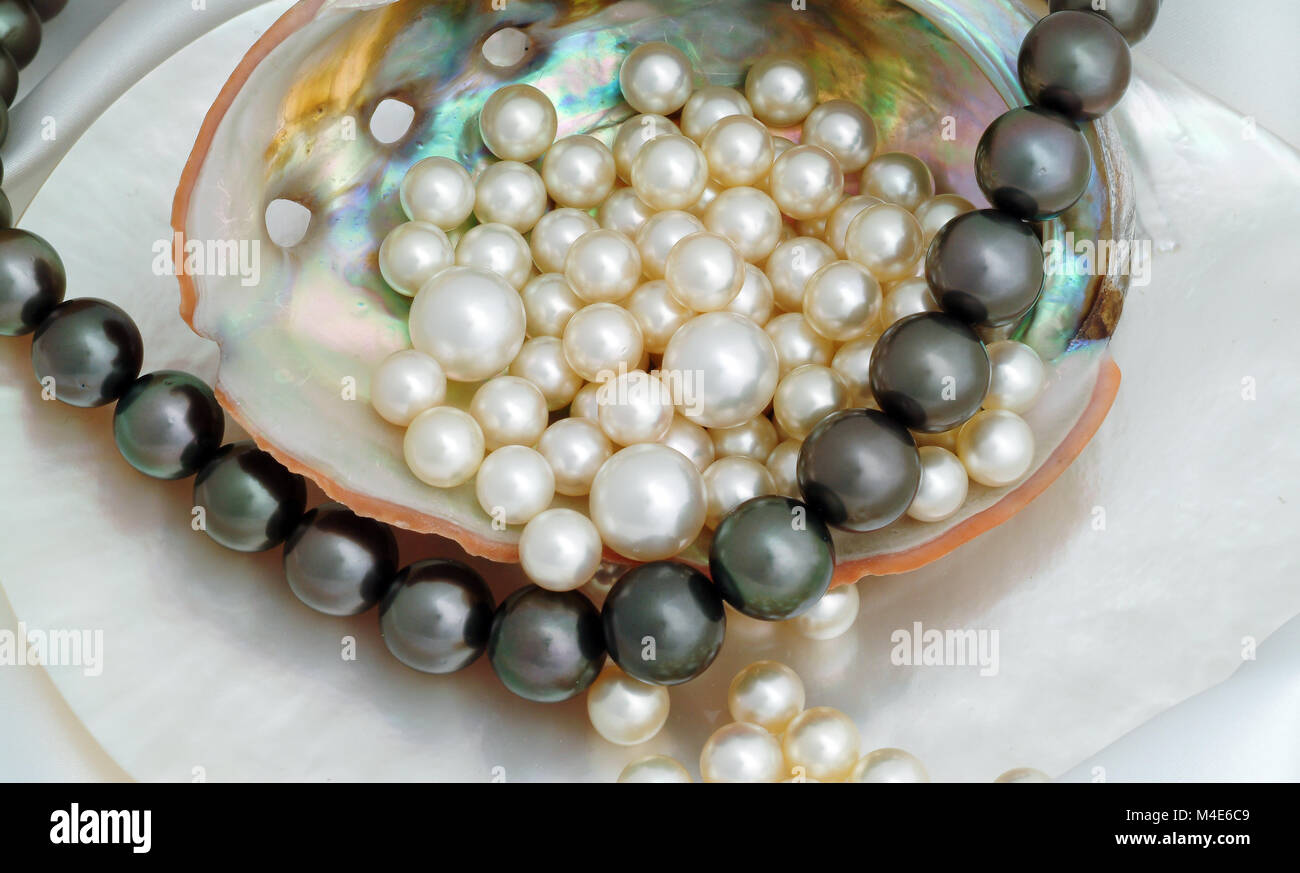 Black south seas pinctada pearls string on a shell Stock Photo - Alamy