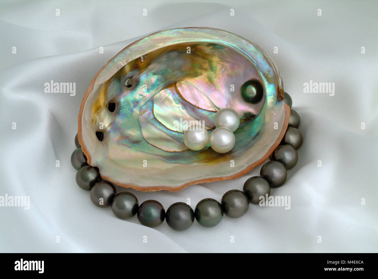 Black south seas pinctada pearls string on a shell Stock Photo - Alamy