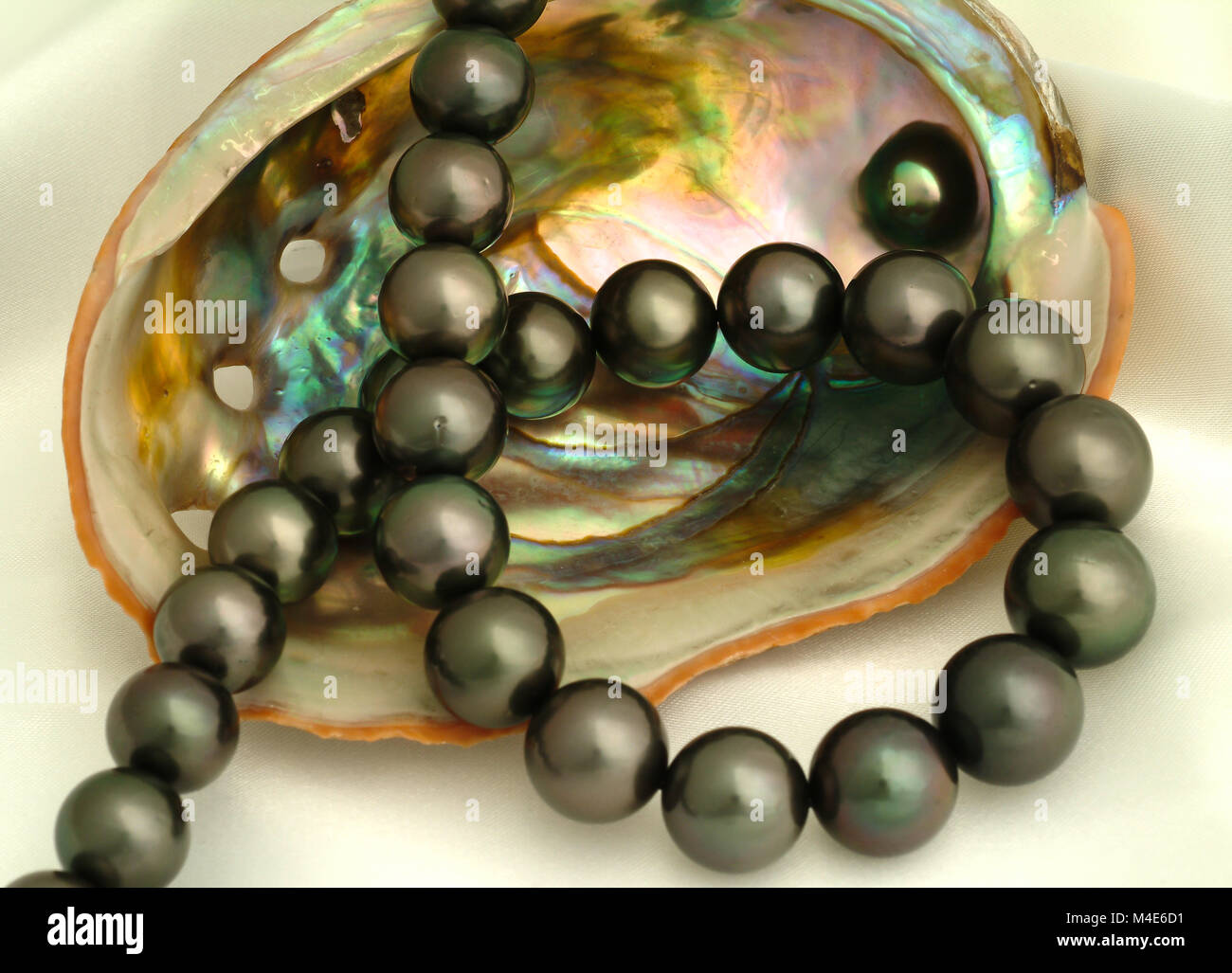 Black south seas pinctada pearls string on a shell Stock Photo - Alamy