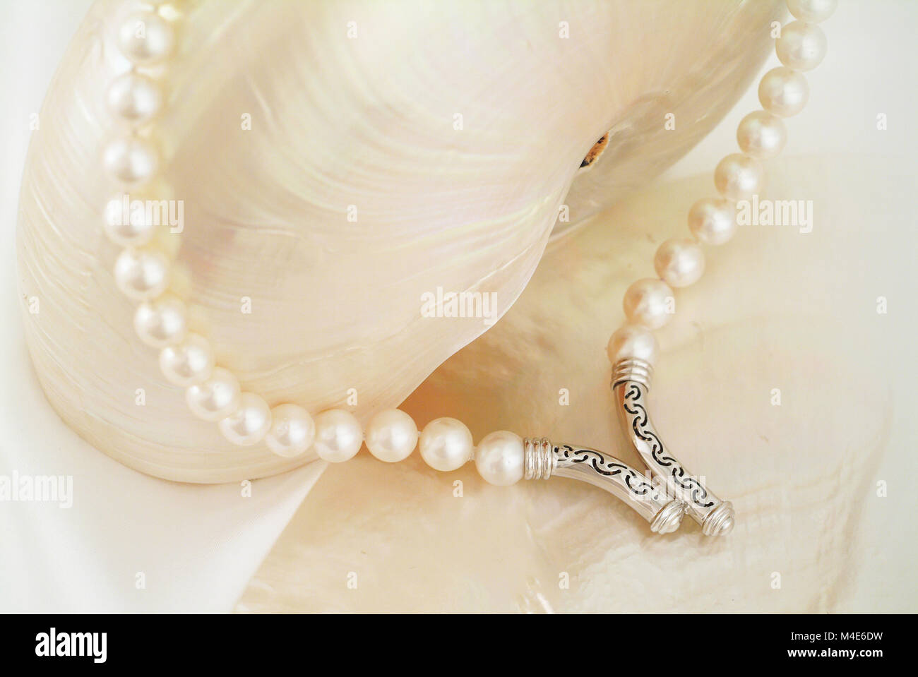 White south seas pinctada pearls necklace a sea shell Stock Photo - Alamy