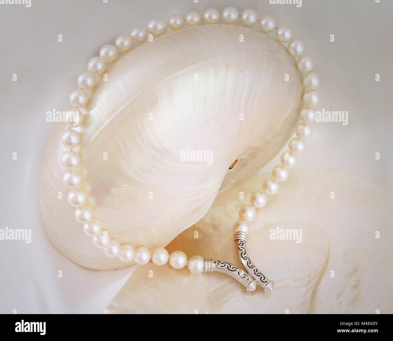 White south seas pinctada pearls necklace a sea shell Stock Photo - Alamy