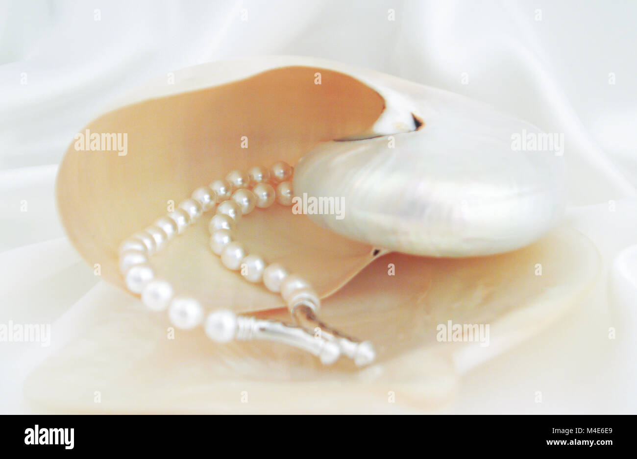 White south seas pinctada pearls necklace a sea shell Stock Photo - Alamy