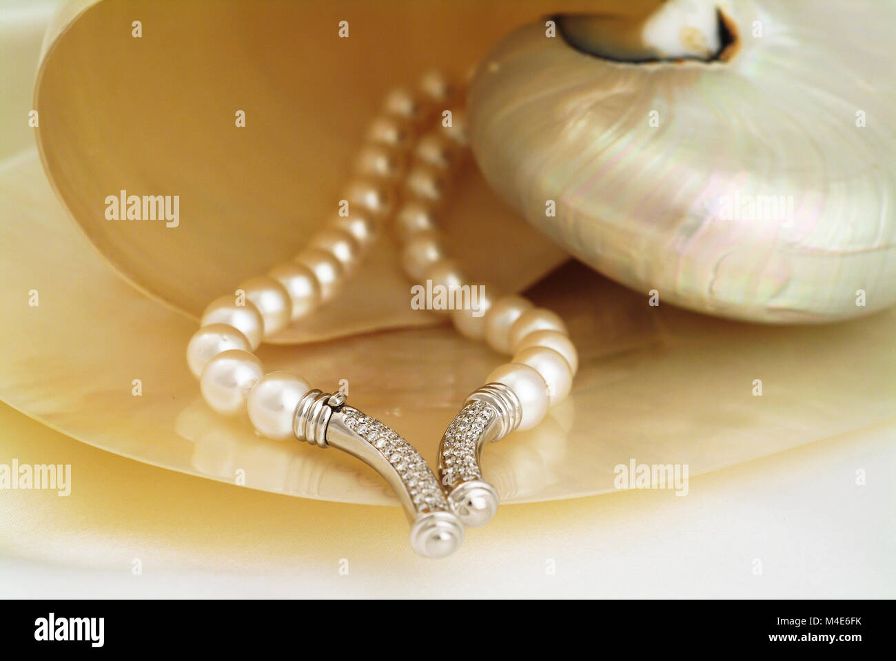 White south seas pinctada pearls necklace a sea shell Stock Photo - Alamy