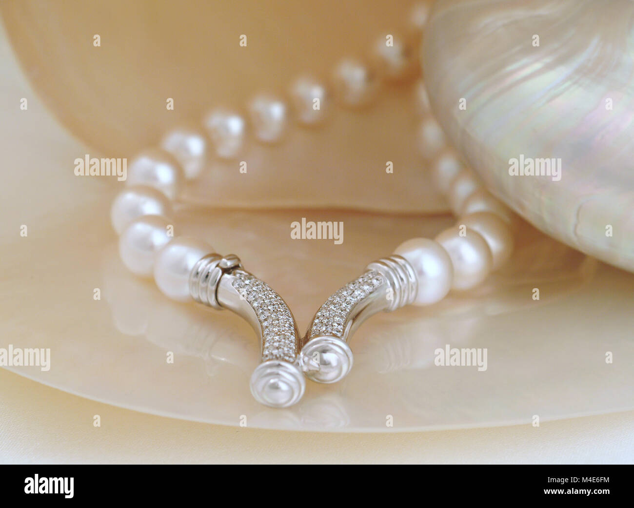 White south seas pinctada pearls necklace a sea shell Stock Photo - Alamy