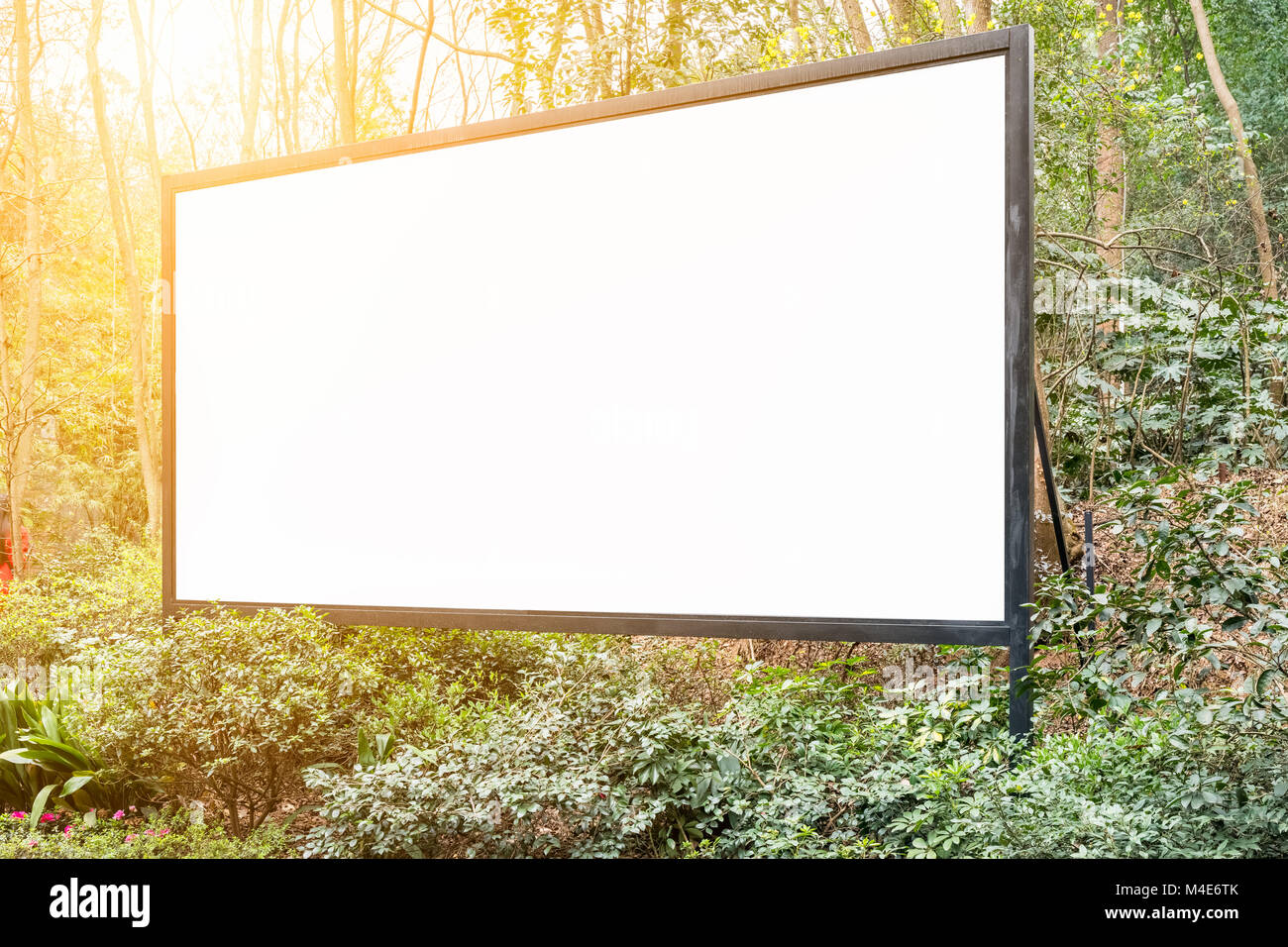 billboard in forest park Stock Photo - Alamy