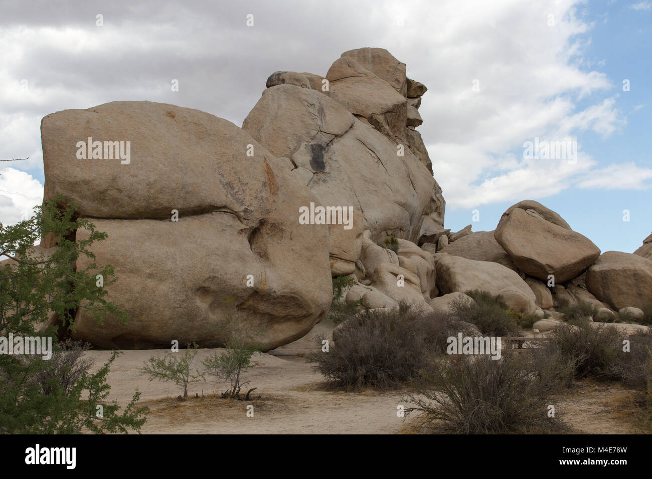 Joshua tree landmark hi-res stock photography and images - Alamy