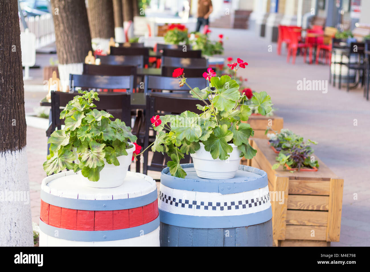 Street cafe flowers and herbs decor concept Stock Photo - Alamy
