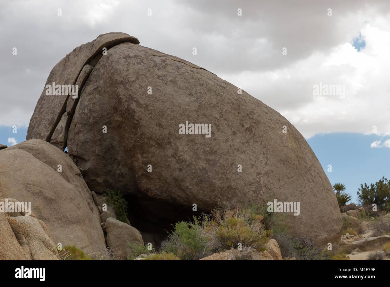Rock split tree hi-res stock photography and images - Alamy