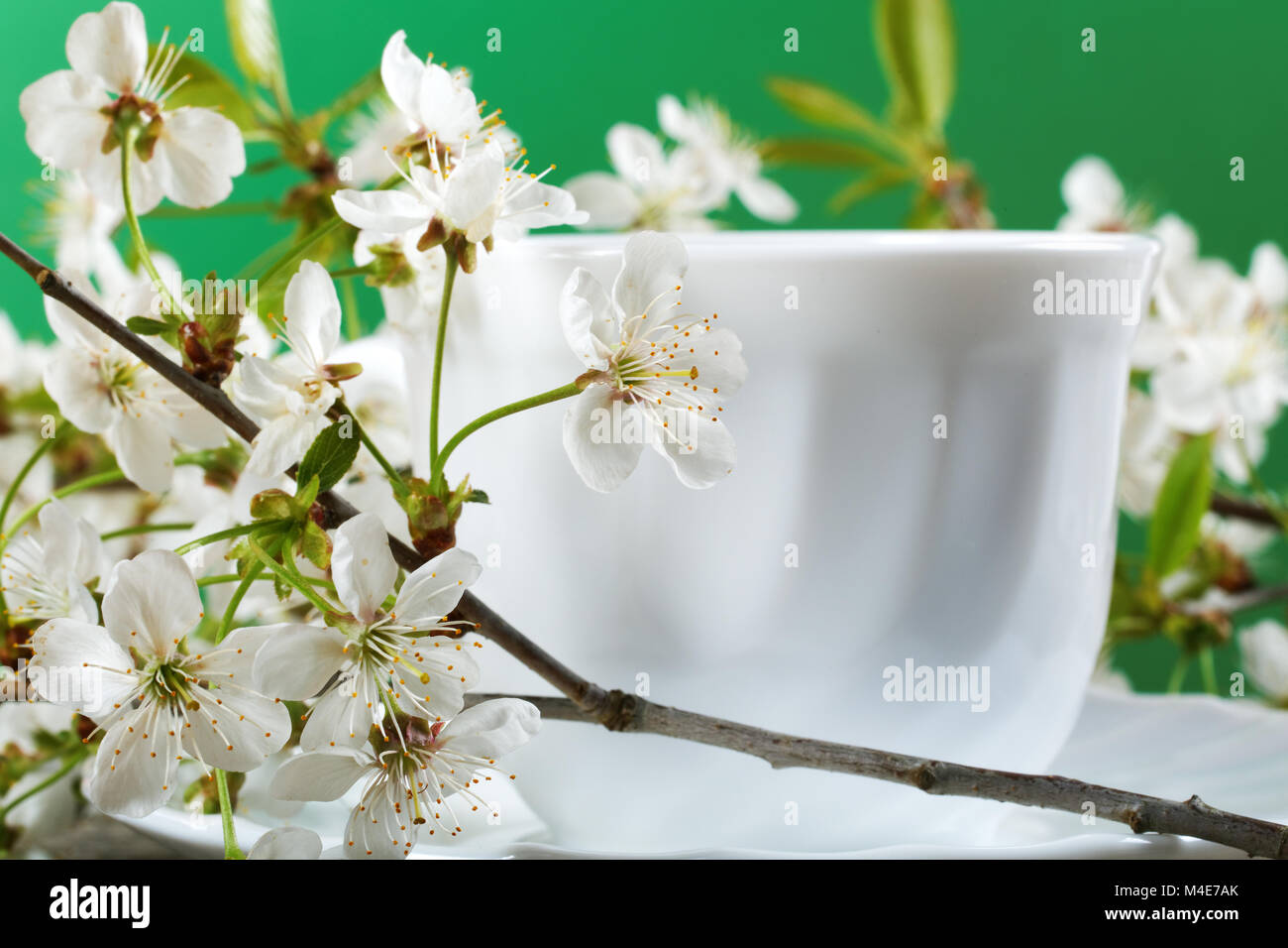 White table with porcelain cup flower hi-res stock photography and ...