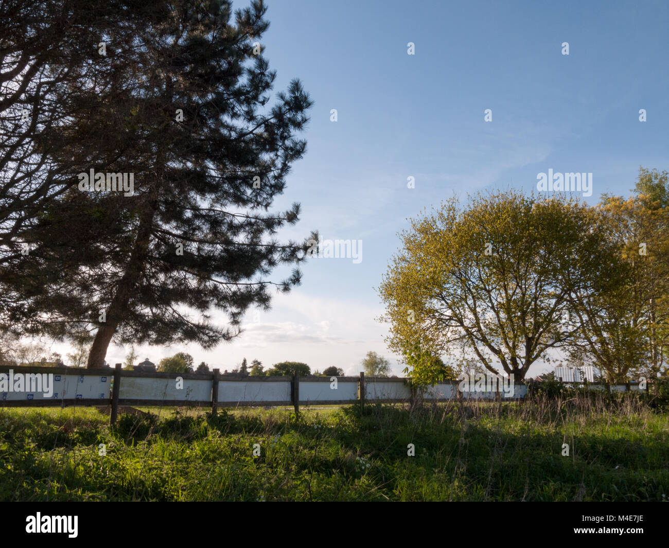 fence and trees outside Stock Photo - Alamy