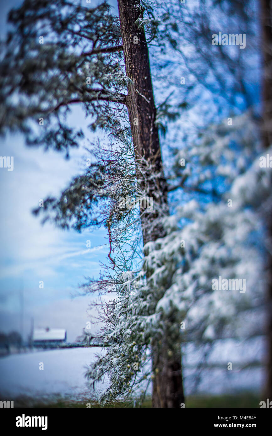 winter scenes at farm land in southern country Stock Photo - Alamy