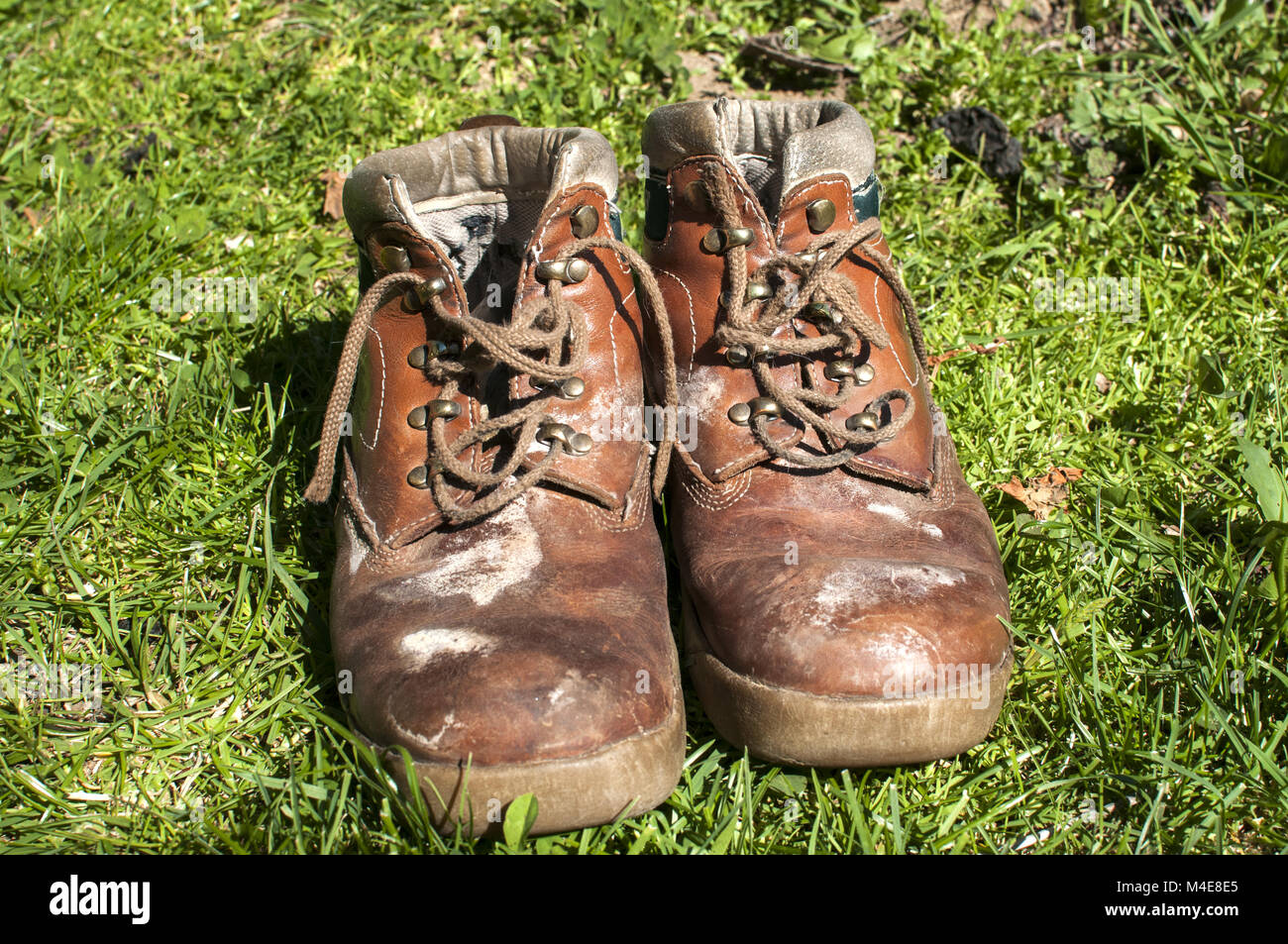 Moldy shoe hi-res stock photography and images - Alamy