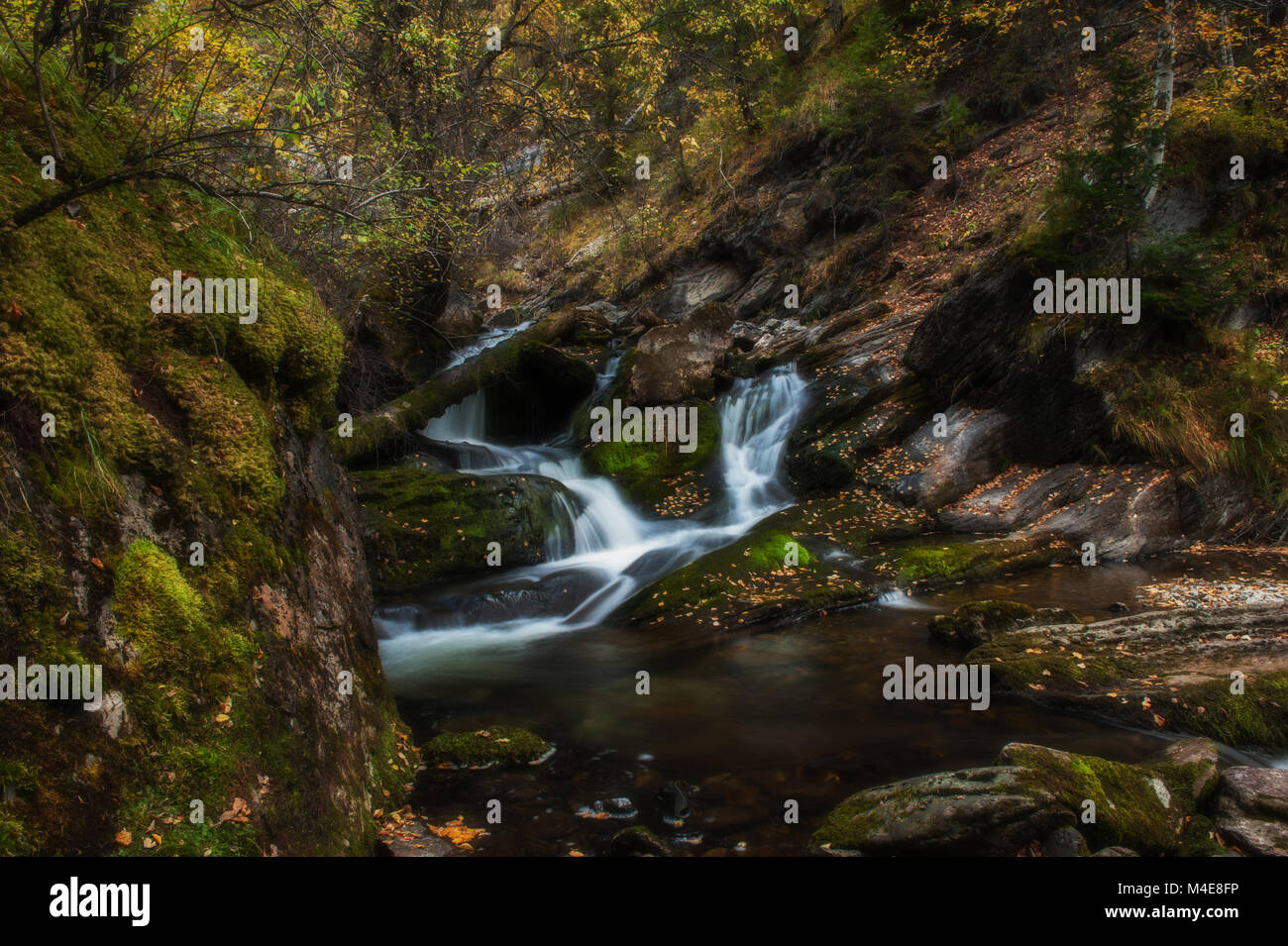 Waterfall on river Shinok Stock Photo - Alamy
